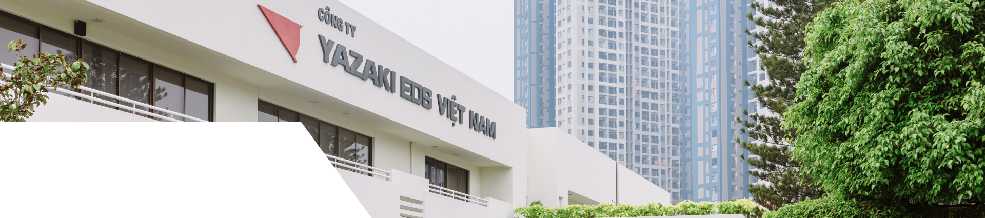 Yazaki EDS Việt Nam – Yazaki Site